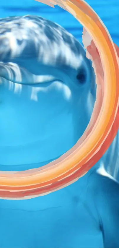 dolphin Live Wallpaper - free download