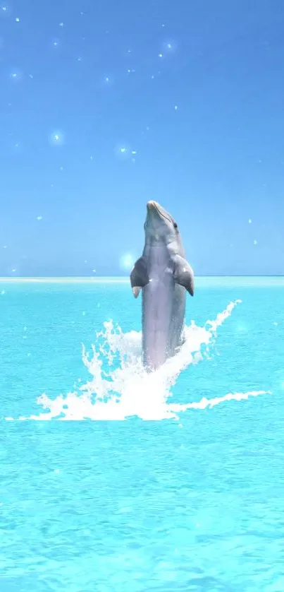 dolphin Live Wallpaper - free download
