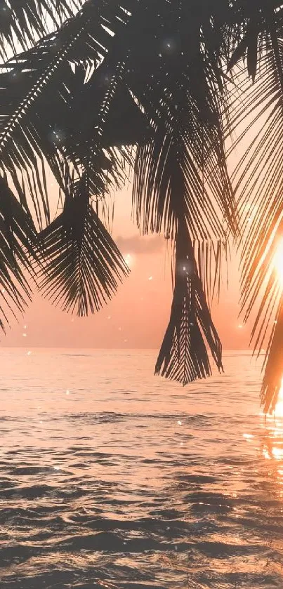 sunset Live Wallpaper - free download