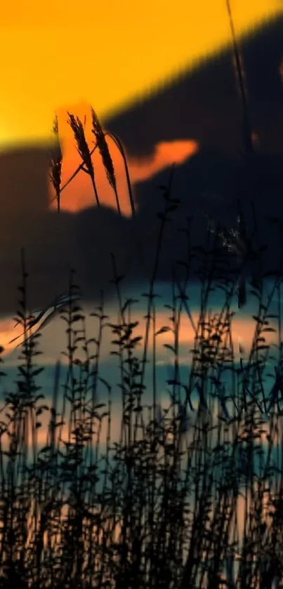 sunset Live Wallpaper - free download