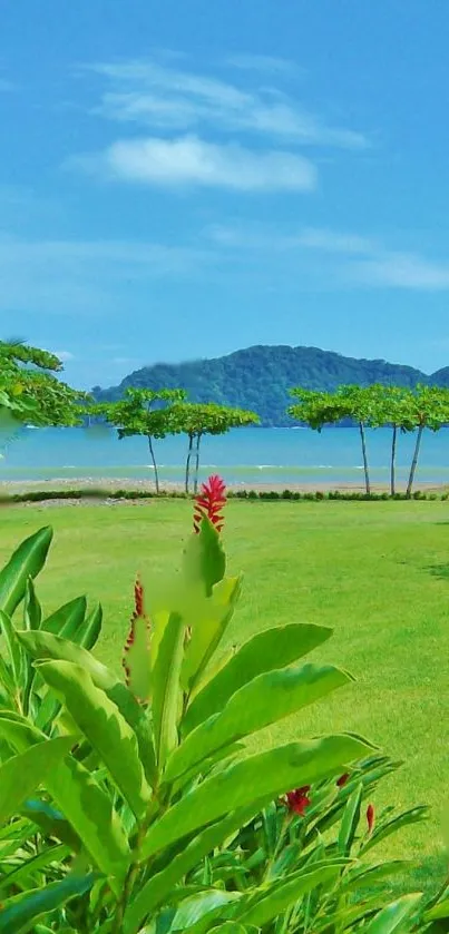 ogya Live Wallpaper - free download