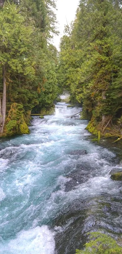 river Live Wallpaper - free download