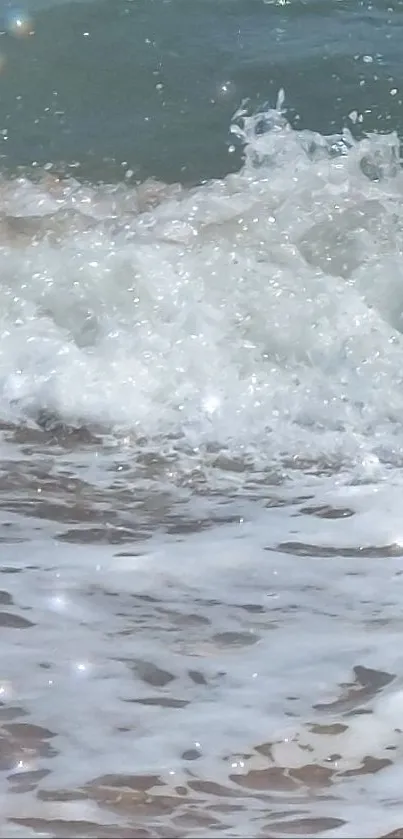 Wave Splash Beach Scene - free download