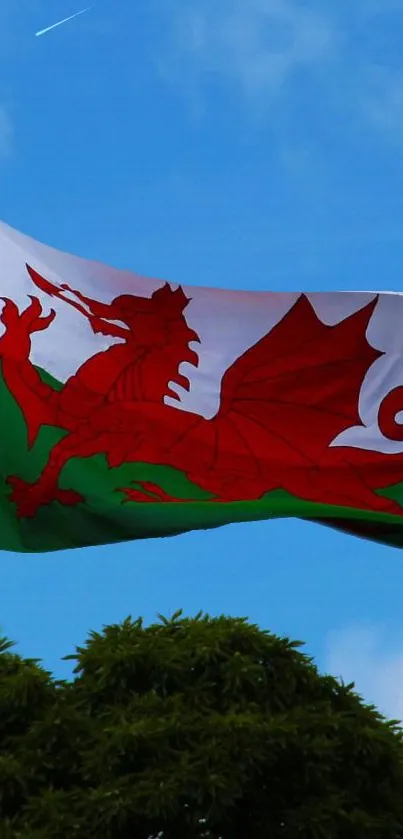 Welsh Dragon Flag Wallpaper - free download