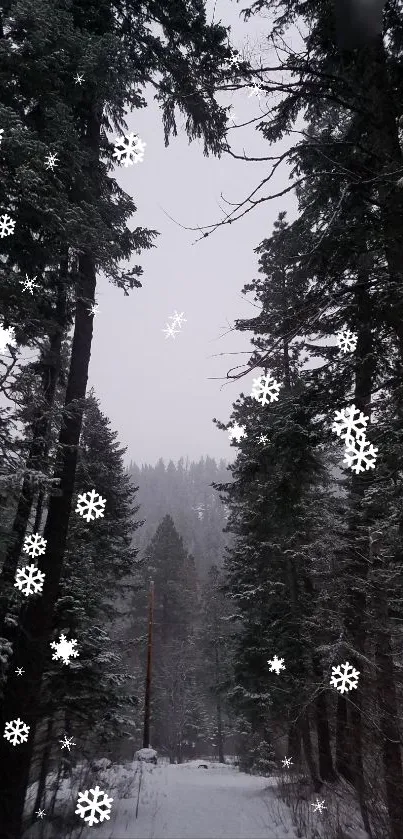 Winter Forest Snowflakes Wallpaper - free download