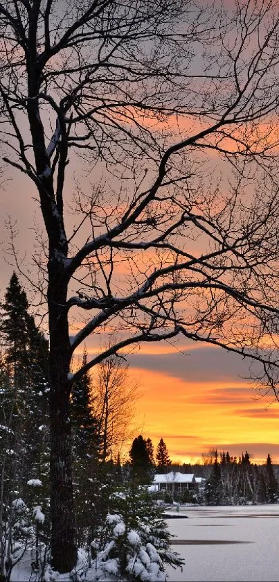 Winter Sunset Lake View Wallpaper - free download