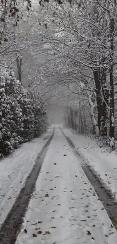 Winter Wonderland Pathway - free download