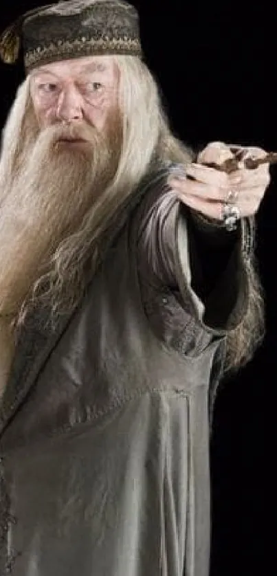 Wizard in Grey Robes - free download