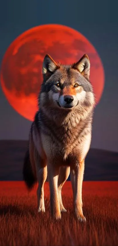 Wolf and Red Moon Wallpaper - free download