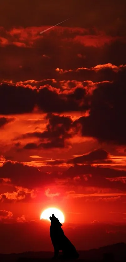 Wolf Howling at Sunset - free download