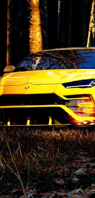 Yellow Car in Autumn Forest - free download