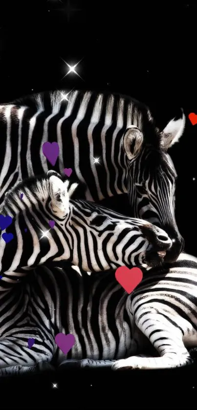 Zebra Love: Cute Heart Wallpaper - free download