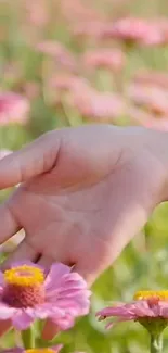 Flower Hand Plant Live Wallpaper - free download