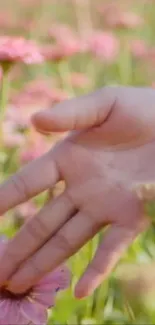 Flower Hand Plant Live Wallpaper - free download